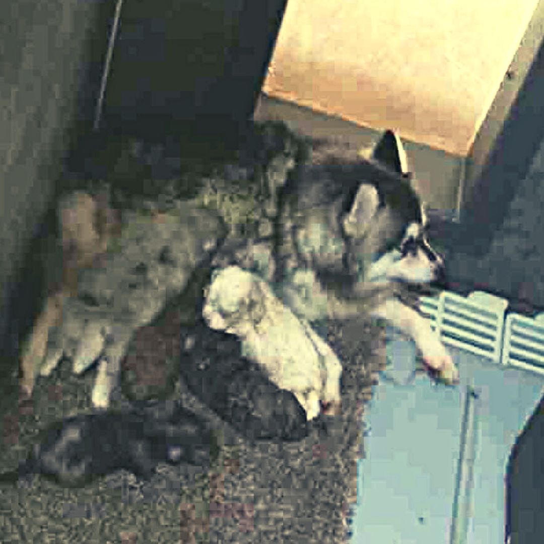 Who We Are – USDA Walk Away LLC